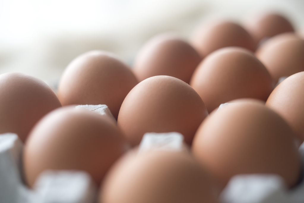 Mengapa telur Jepang bisa dimakan mentah? - Japaholic Indonesia