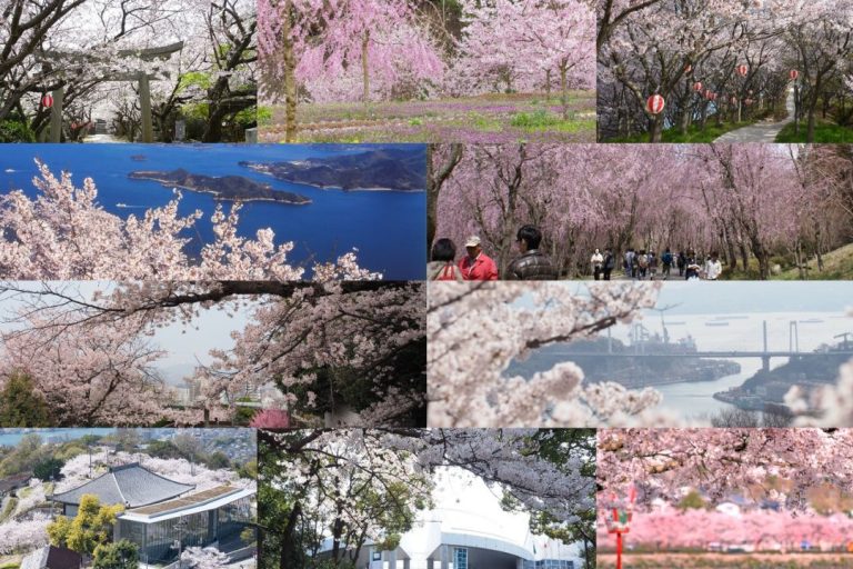 Musim Bunga Sakura di Hiroshima 2025! Rekomendasi Tempat Hanami dan ...